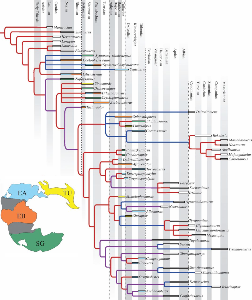 Theropoda – Encyklopedia Dinozaury.com