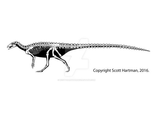 Scutellosaurus – Encyklopedia Dinozaury.com