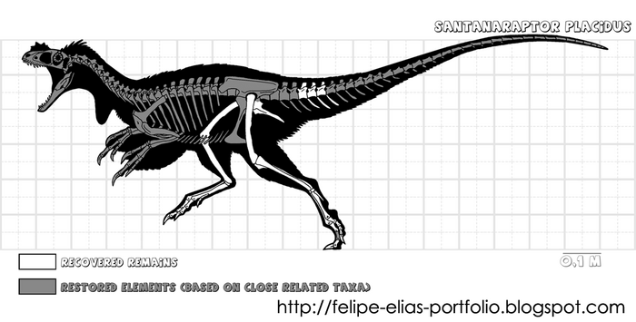 Santanaraptor – Encyklopedia Dinozaury.com