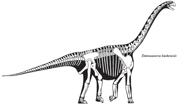 Datousaurus – Encyklopedia Dinozaury.com