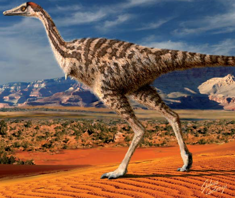 Qiupanykus – Encyklopedia Dinozaury.com