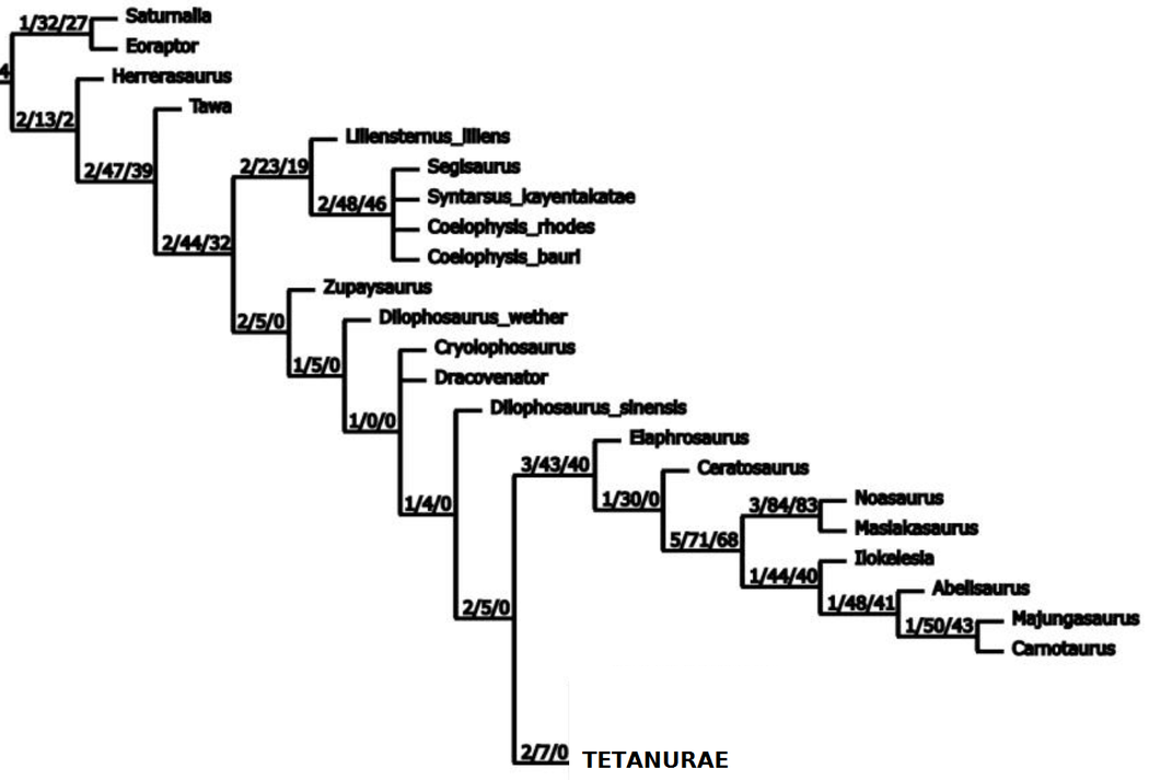 Theropoda – Encyklopedia Dinozaury.com