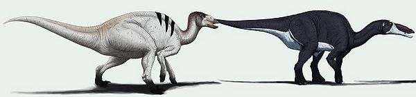 Edmontosaurus – Encyklopedia Dinozaury.com