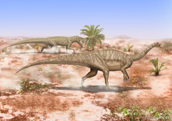 Lessemsaurus – Encyklopedia Dinozaury.com