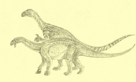Melanorosaurus – Encyklopedia Dinozaury.com