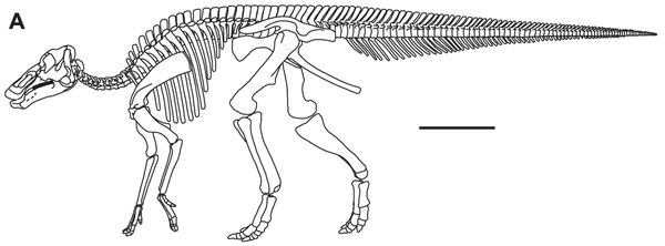 Edmontosaurus – Encyklopedia Dinozaury.com