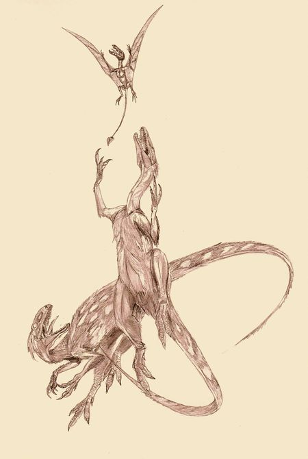 Panguraptor – Encyklopedia Dinozaury.com
