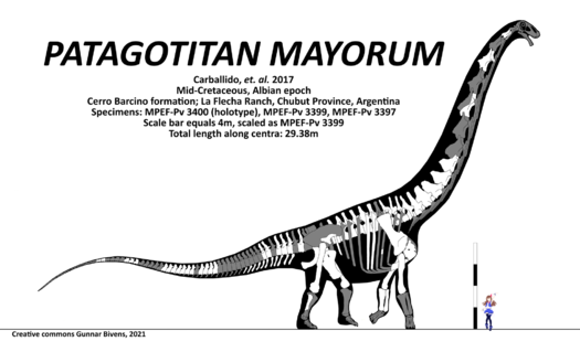 Patagotitan – Encyklopedia Dinozaury.com