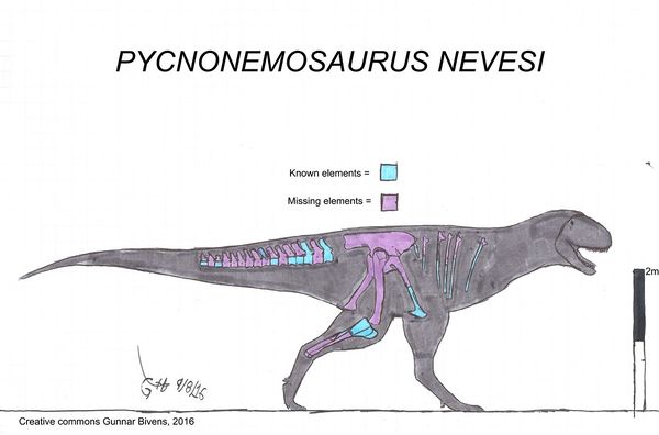 Pycnonemosaurus – Encyklopedia Dinozaury.com
