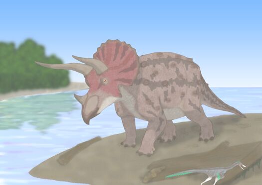 Triceratops – Encyklopedia Dinozaury.com