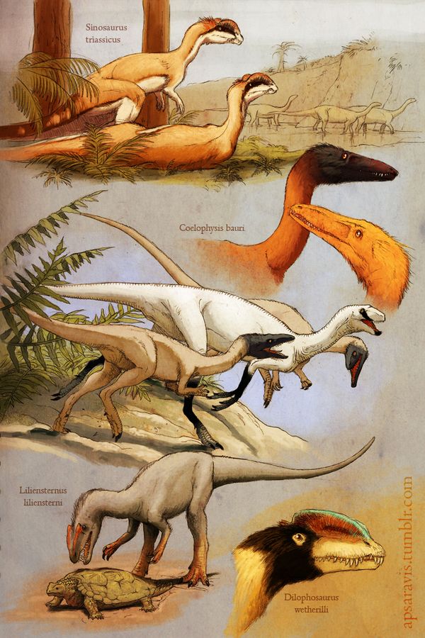 Theropoda – Encyklopedia Dinozaury.com