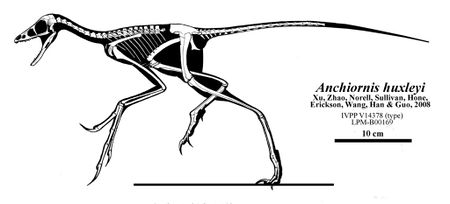 Troodontidae – Encyklopedia Dinozaury.com