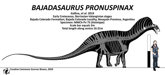 Bajadasaurus – Encyklopedia Dinozaury.com